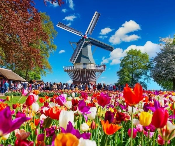 10天荷蘭【限定花展】．杜拜 - (AMS10) - 旅行團 - 🌏 金怡假期